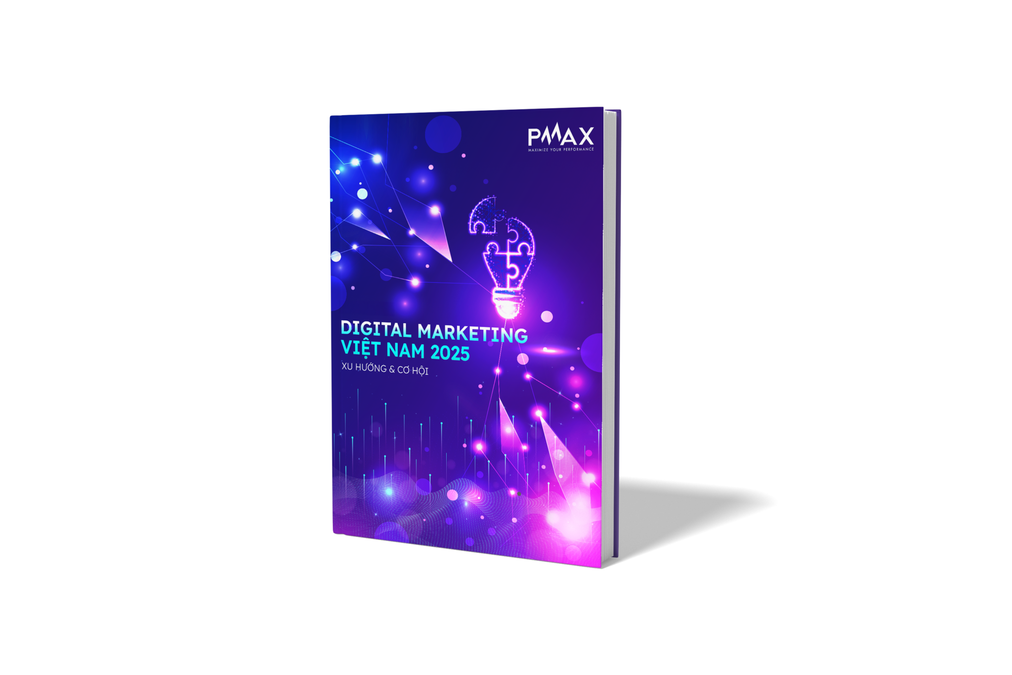 Ebook - PMAX